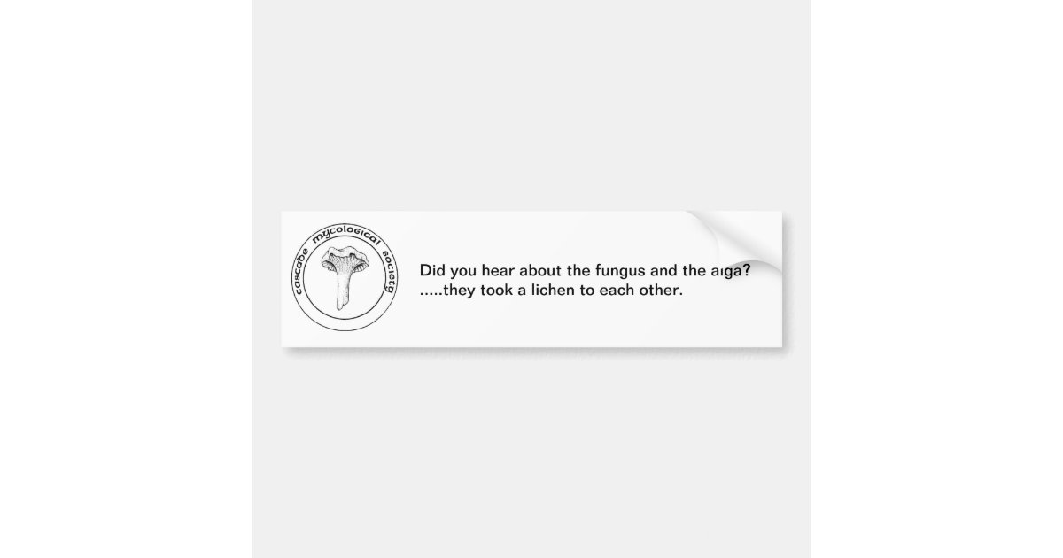 Mycology Humor Bumper Sticker | Zazzle