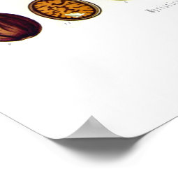 Myristica fragrans (nutmeg) poster | Zazzle