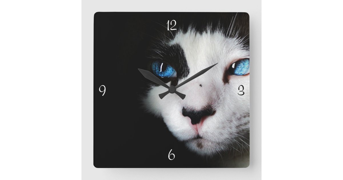 Mysterious Blue Eyed Tuxedo Cat Clock | Zazzle