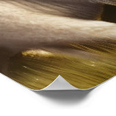 Mystic White Buffalo Digital Art Poster | Zazzle