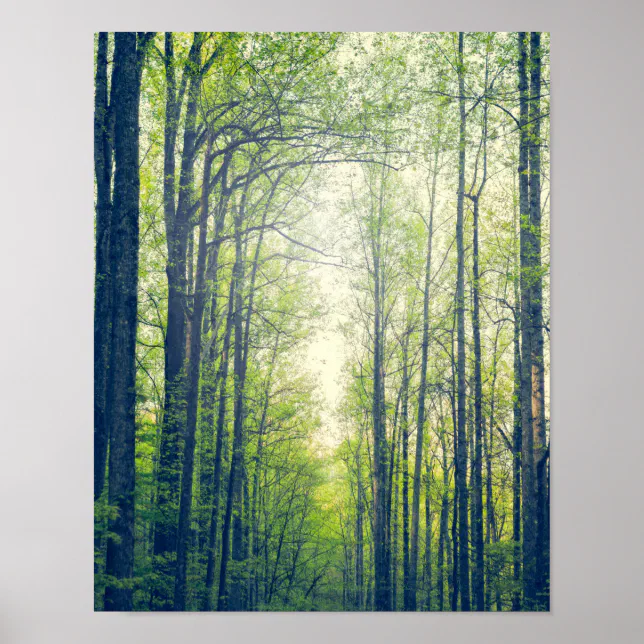 Mystical forest poster | Zazzle