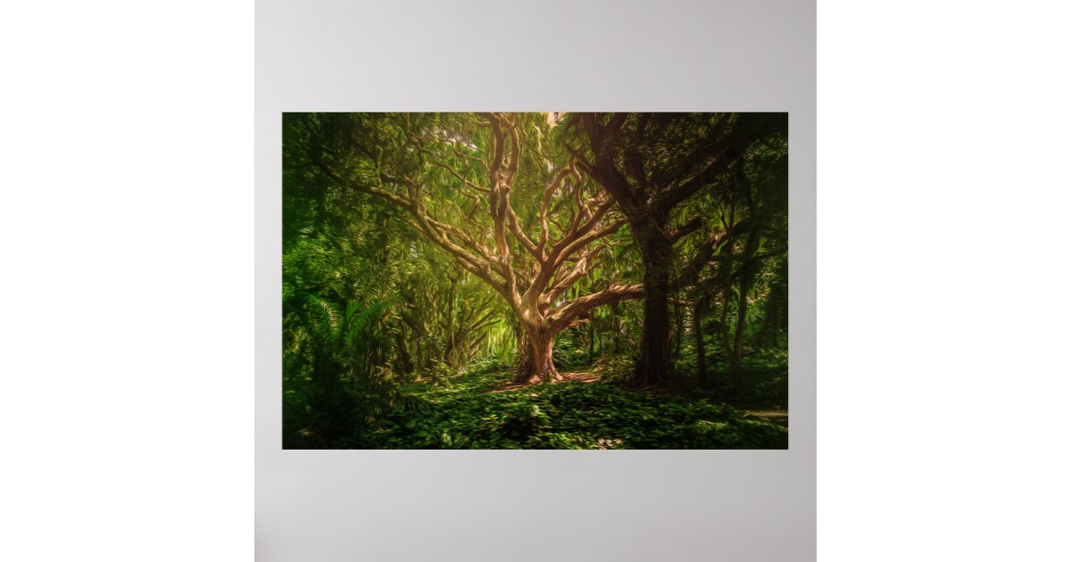 Mystical Forest Poster | Zazzle