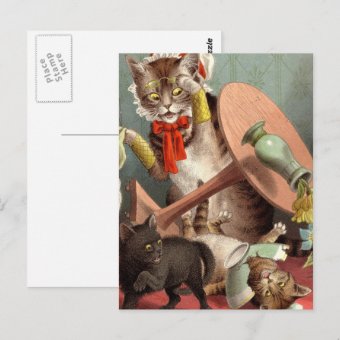 Naghty Cats postcard | Zazzle