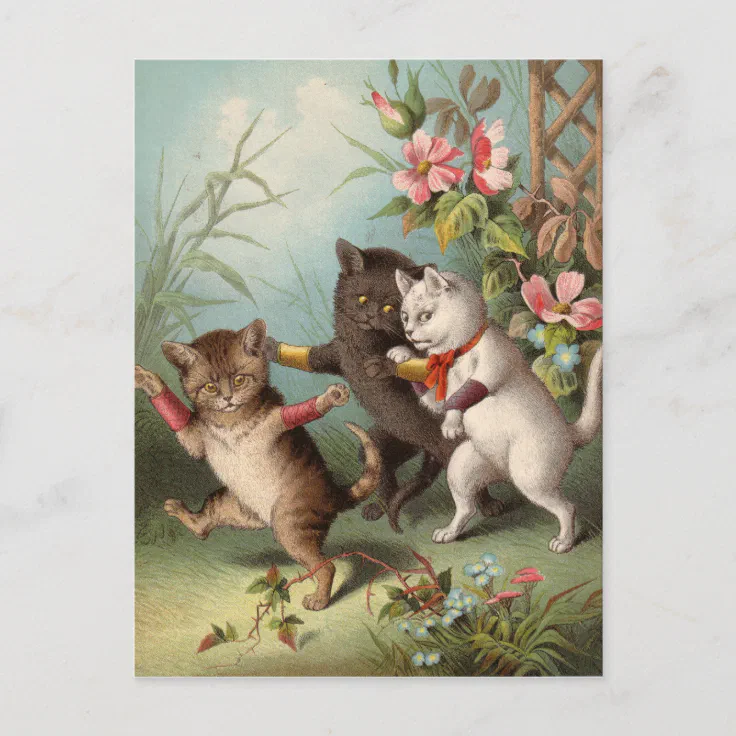 Naghty Cats postcard | Zazzle