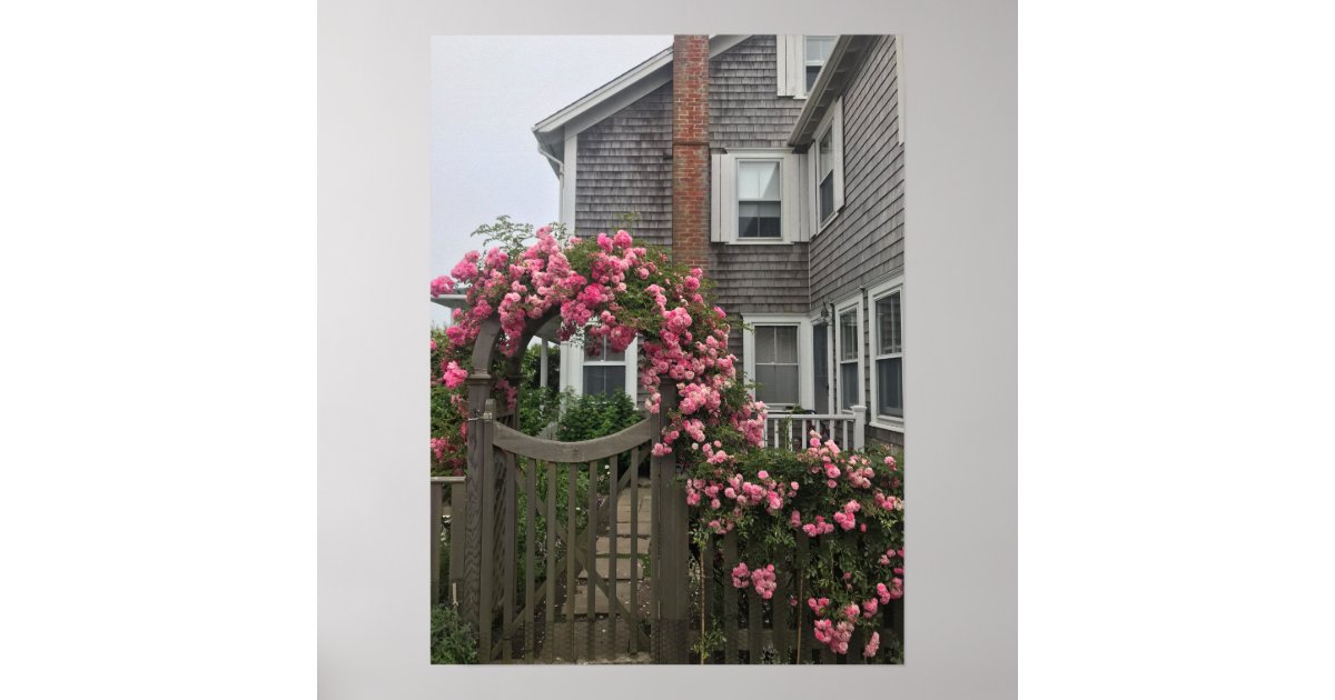 nantucket florals poster | Zazzle