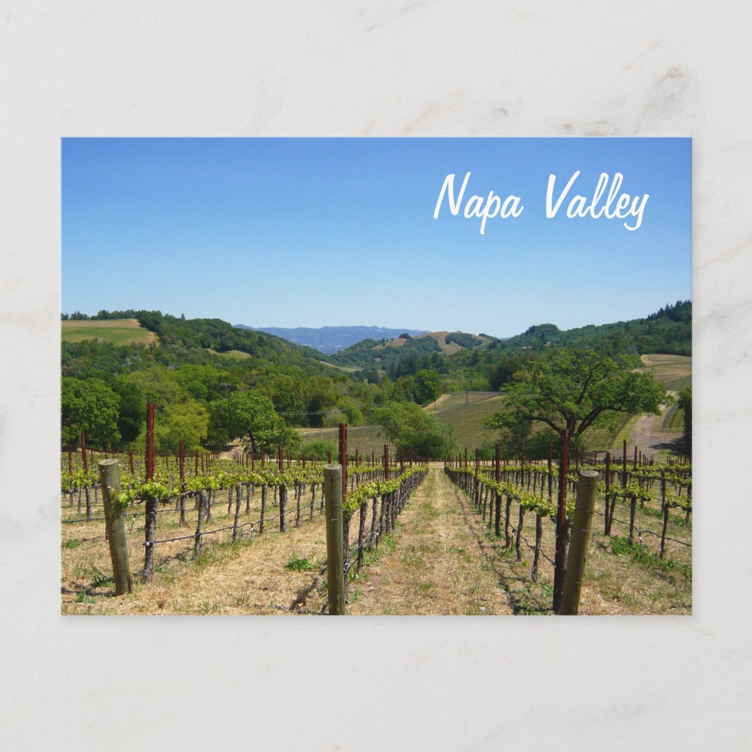 Napa Valley Postcard | Zazzle