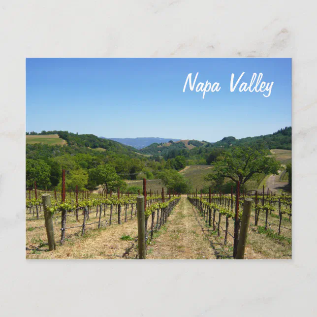 Napa Valley Postcard | Zazzle