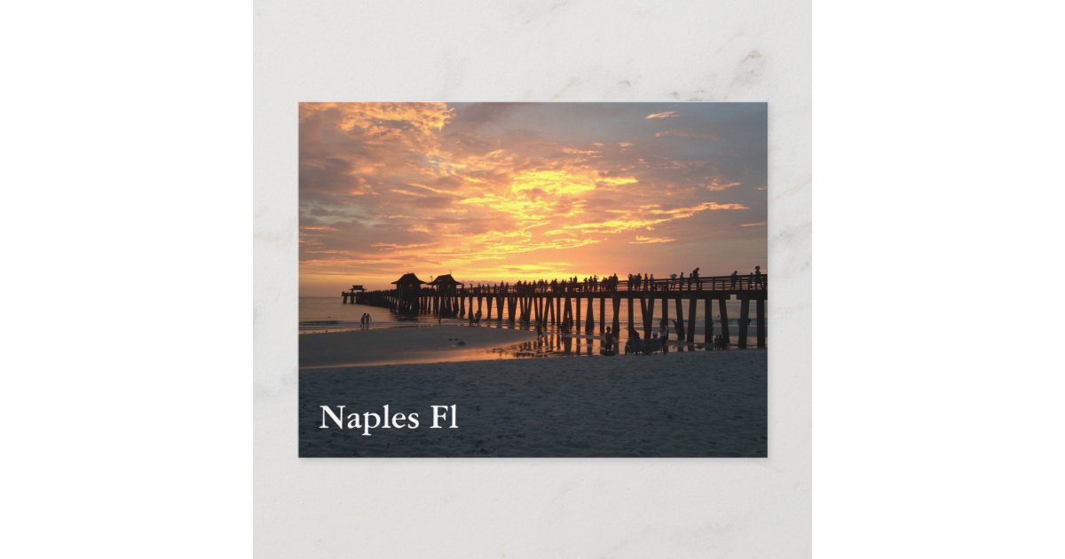 naples fl photograph sunset postcard | Zazzle