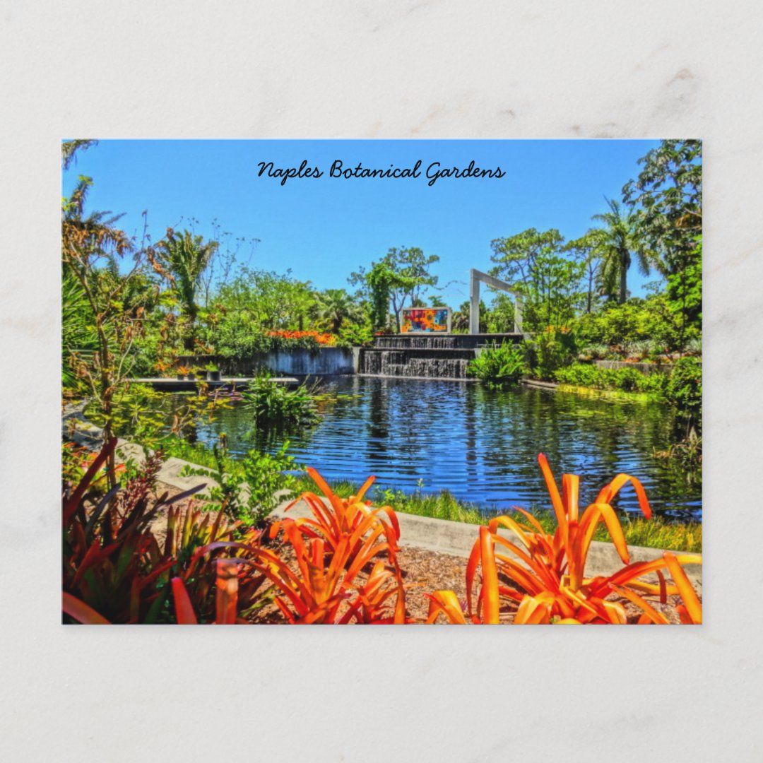 Naples Florida Botanical Garden - Mosaic Wall Postcard | Zazzle