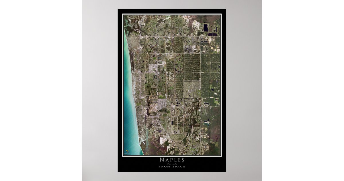 Naples Florida Satellite Poster Map | Zazzle