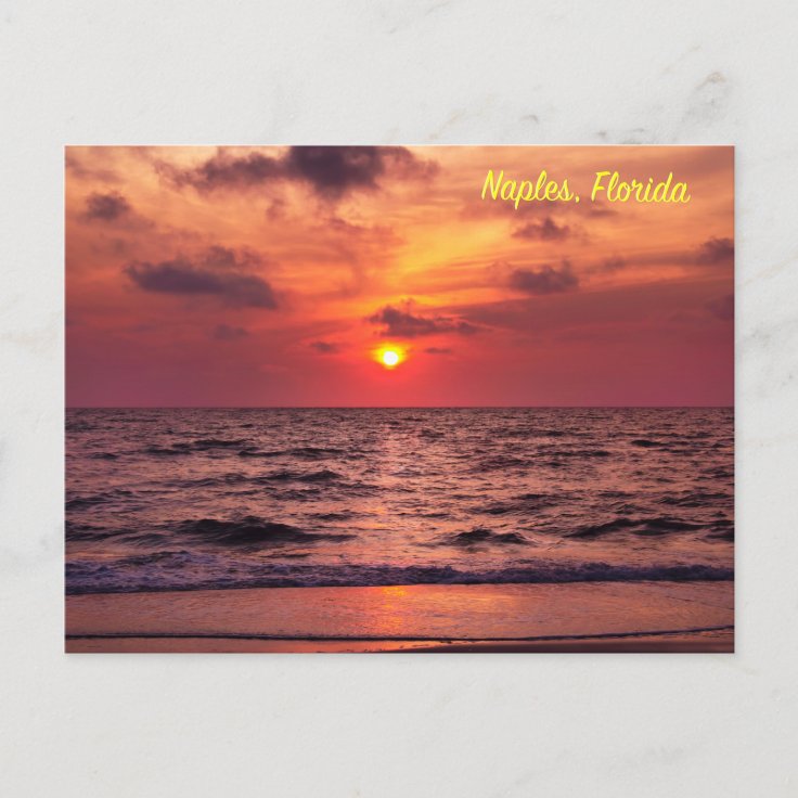 Naples, Florida Tropical Sunset Postcard | Zazzle