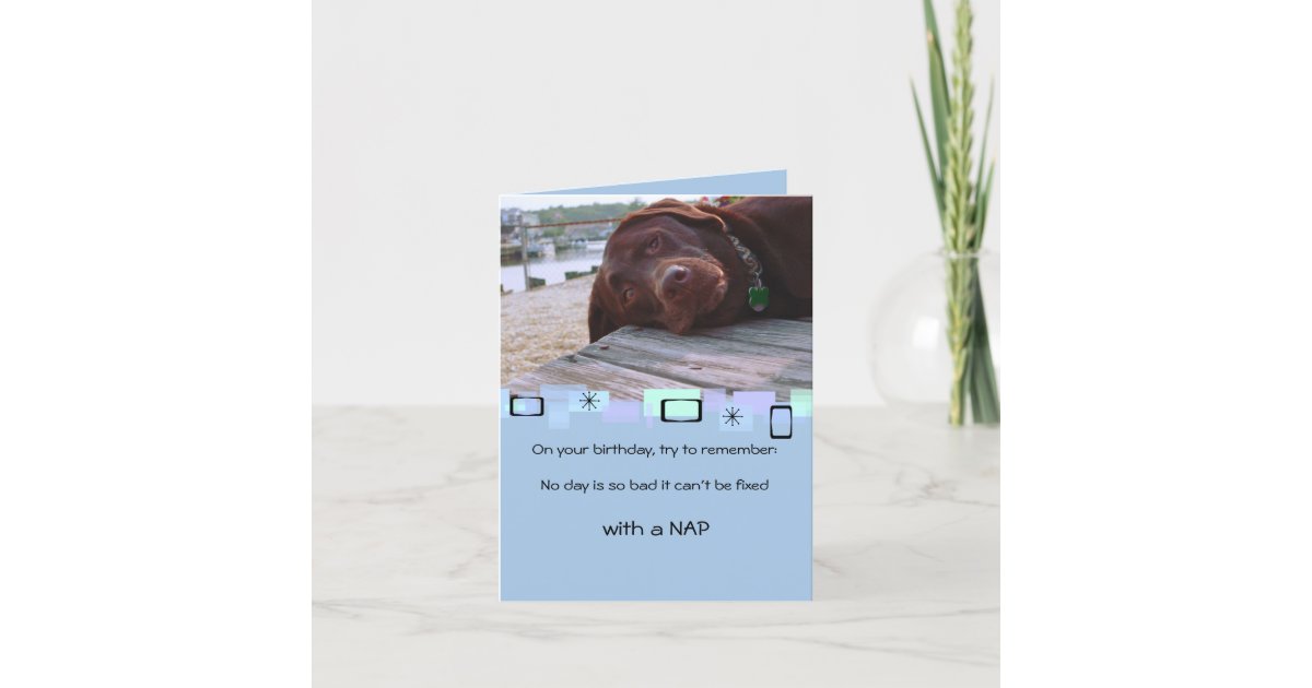 Napping Chocolate Lab All Occasion Greeting Card | Zazzle