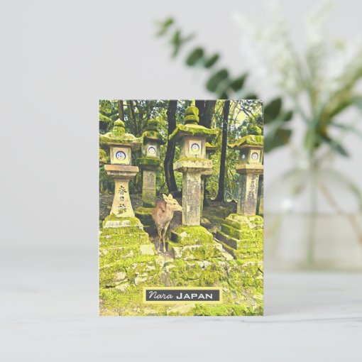 Nara Japan deer park travel print Postcard | Zazzle