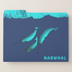 Narwhal Under The Ice File Folder | Zazzle