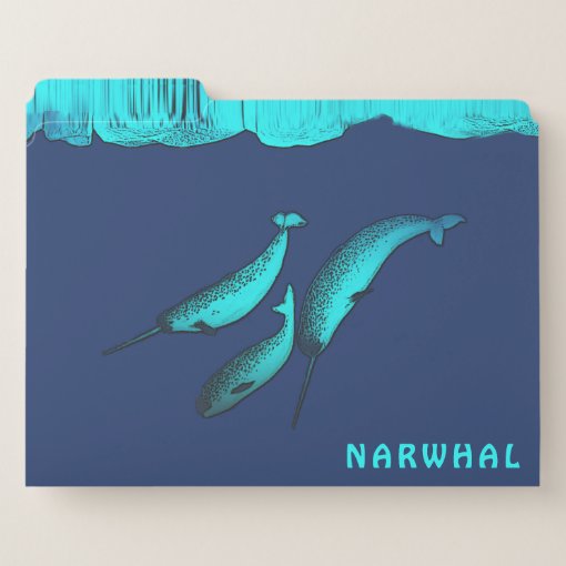 Narwhal Under The Ice File Folder | Zazzle