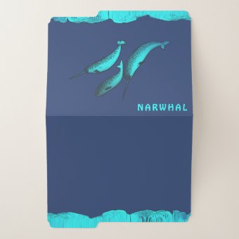 Narwhal Under The Ice File Folder | Zazzle