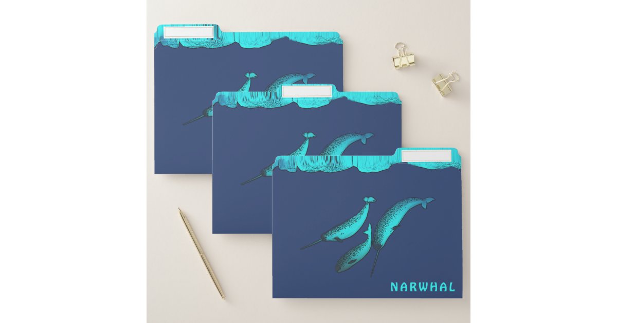 Narwhal Under The Ice File Folder | Zazzle