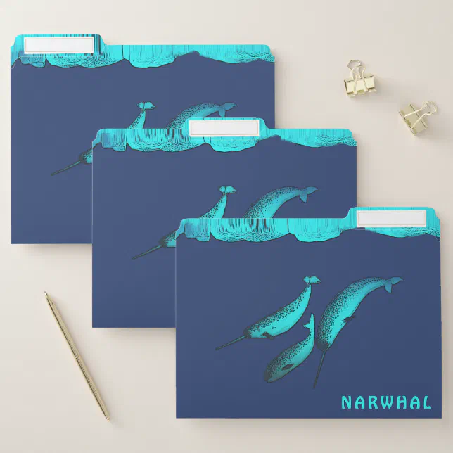 Narwhal Under The Ice File Folder | Zazzle