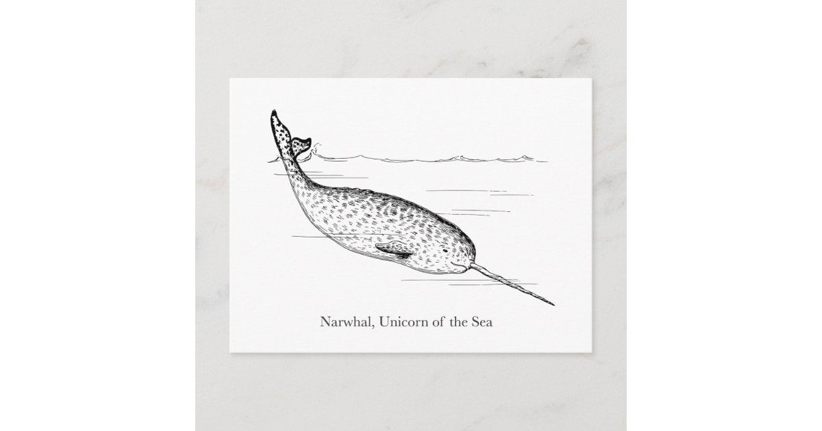 Narwhal Whale Unicorn of the Sea Postcard | Zazzle