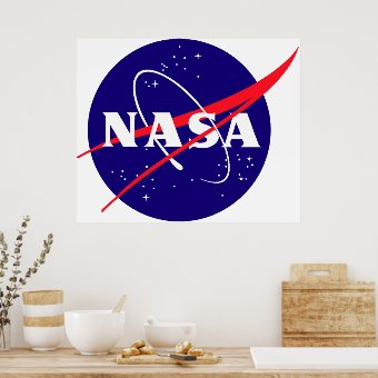 NASA Meatball Logo Poster | Zazzle