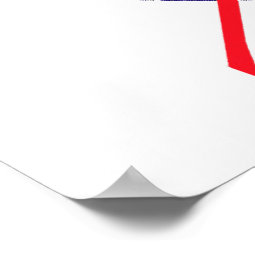 NASA Meatball Logo Poster | Zazzle