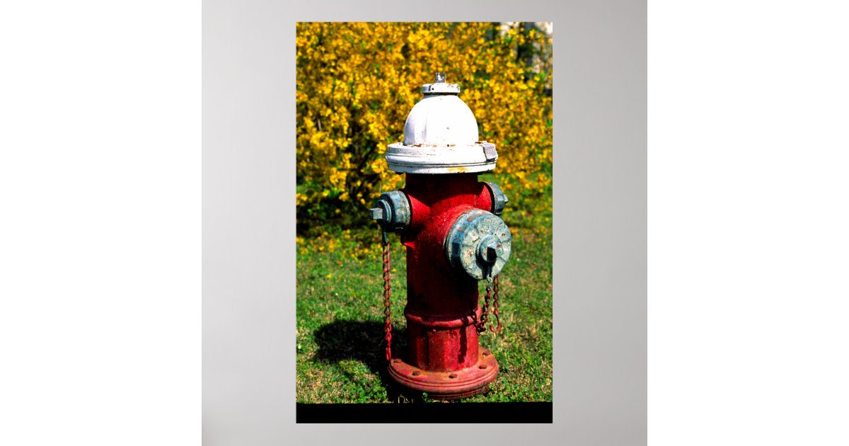 Nashville fire hydrant poster | Zazzle