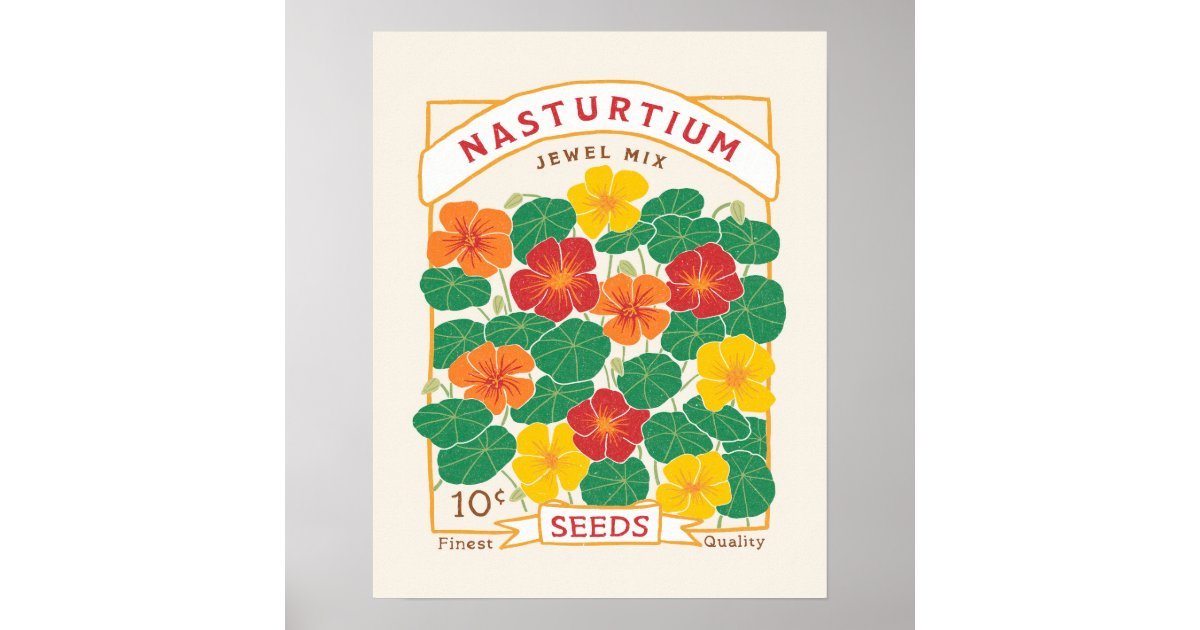 Nasturtium Flower Seed Packet Poster | Zazzle