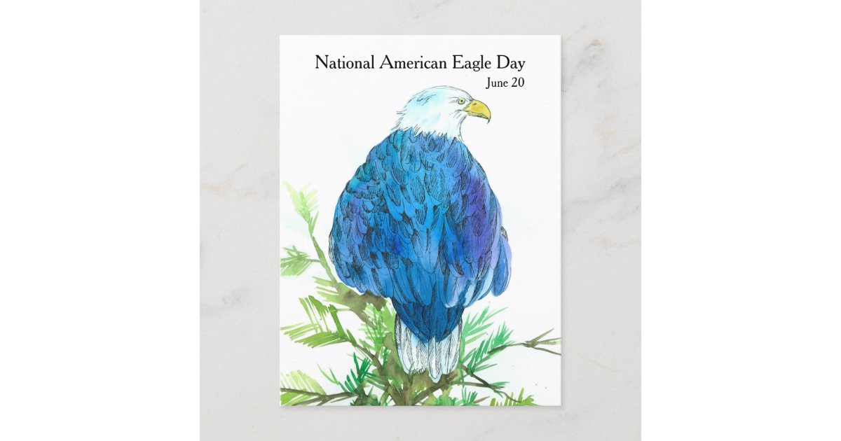 National American Eagle Day June 20 Wildlife Postcard | Zazzle