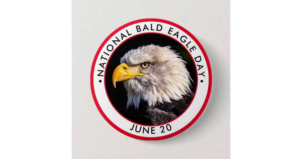 National Bald Eagle Day Button | Zazzle