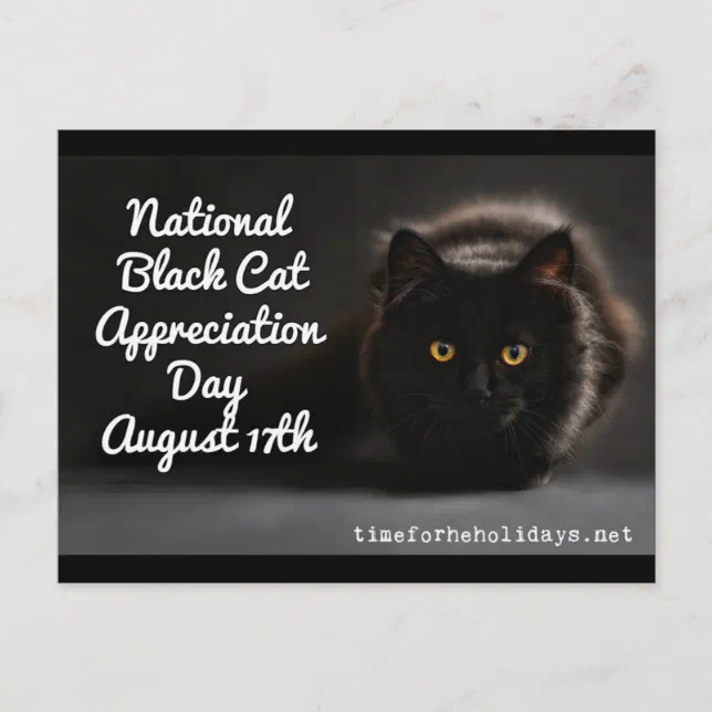 National Black Cat Day Holidays Postcard | Zazzle
