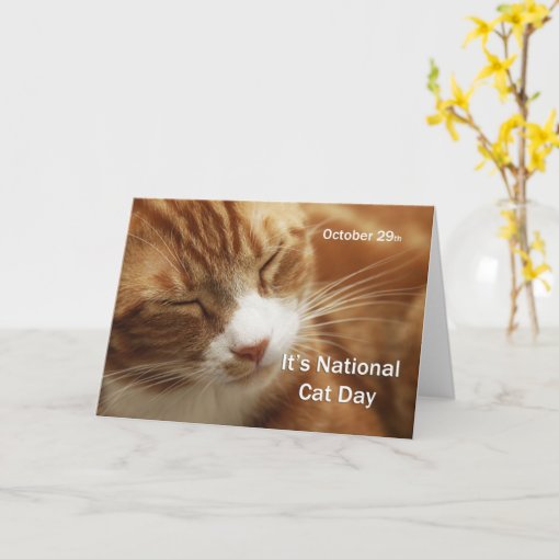 National Cat Day October 29 Card | Zazzle
