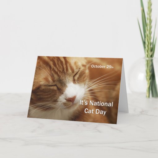National Cat Day October 29 Card | Zazzle