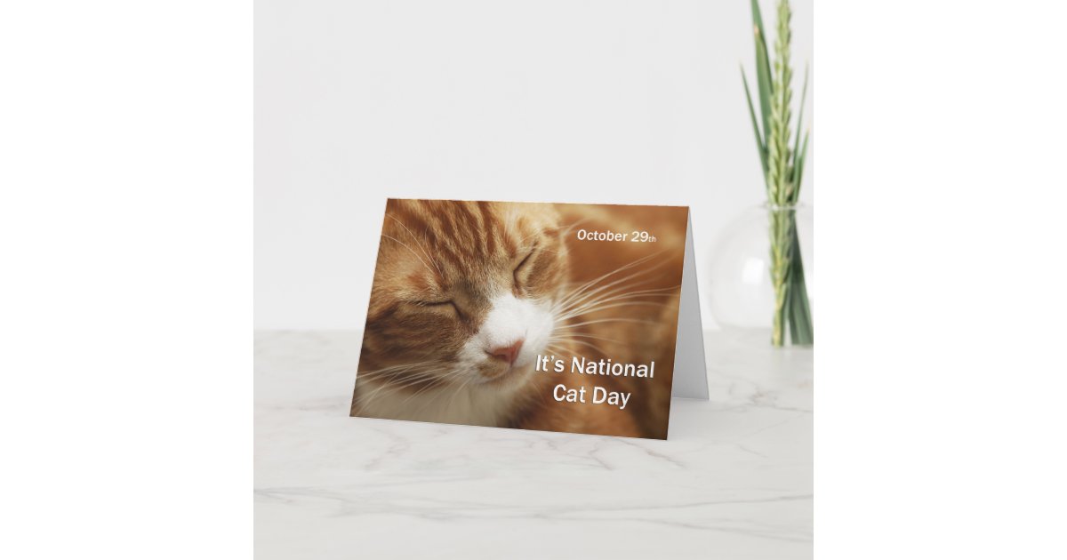National Cat Day October 29 Card | Zazzle