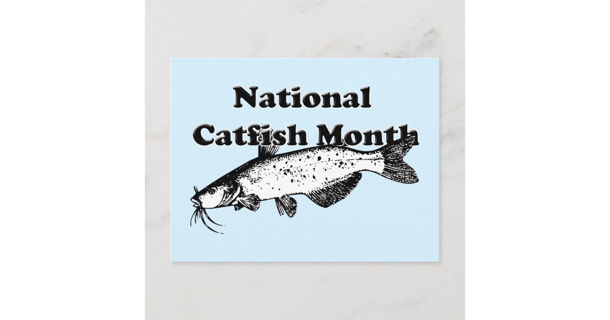 National Catfish Month Postcard | Zazzle