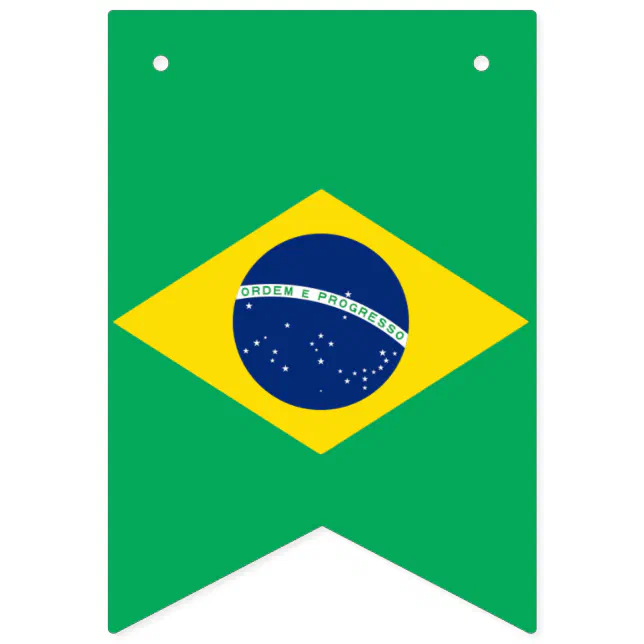 National Flag of Brazil, Party Bunting Banner | Zazzle