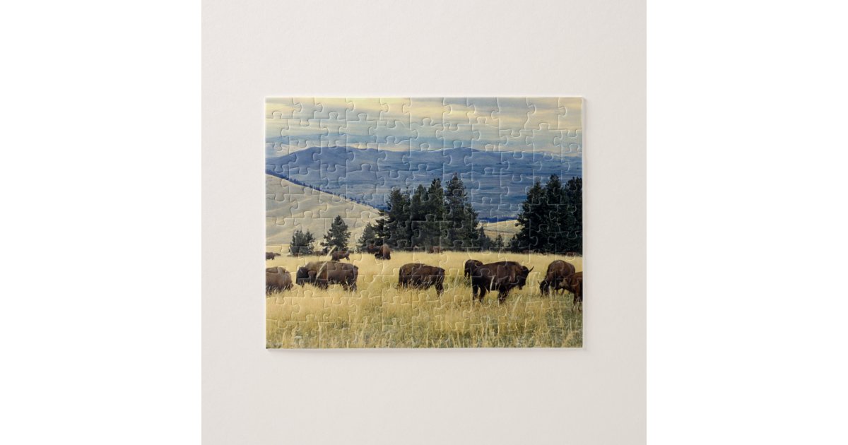 National Parks Bison Herd Jigsaw Puzzle | Zazzle