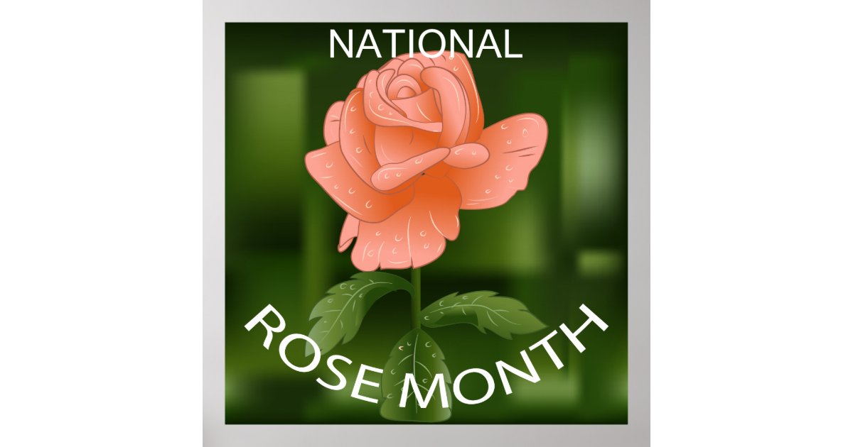 National Rose Month Poster | Zazzle