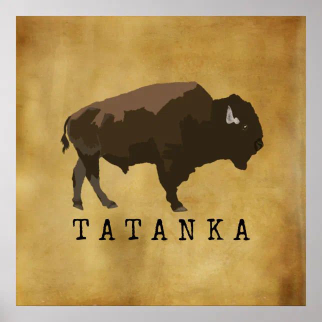 Native American Buffalo | Bison | Tatanka Drawing Poster | Zazzle