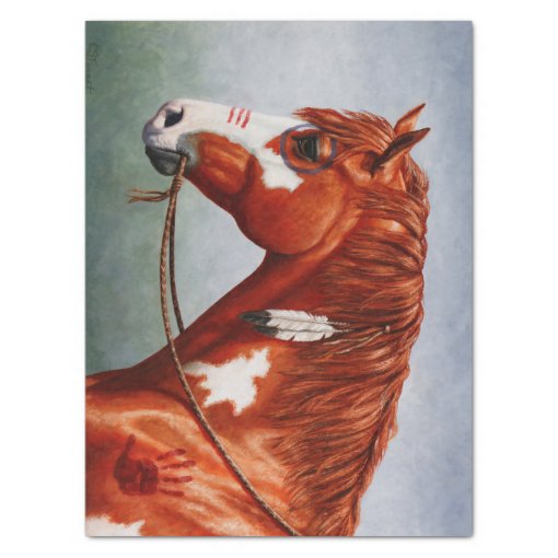 Native American Chestnut Pinto War Horse Tissue Paper | Zazzle