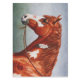 Native American Chestnut Pinto War Horse Tissue Paper | Zazzle