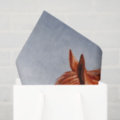 Native American Chestnut Pinto War Horse Tissue Paper | Zazzle