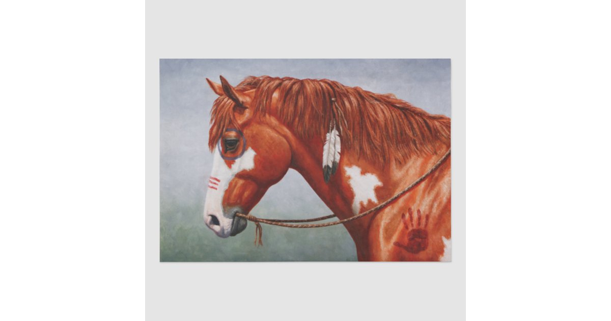 Native American Chestnut Pinto War Horse Tissue Paper | Zazzle
