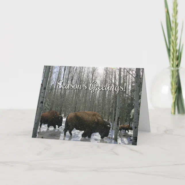 Native American Season's Greetings Buffalo Card | Zazzle