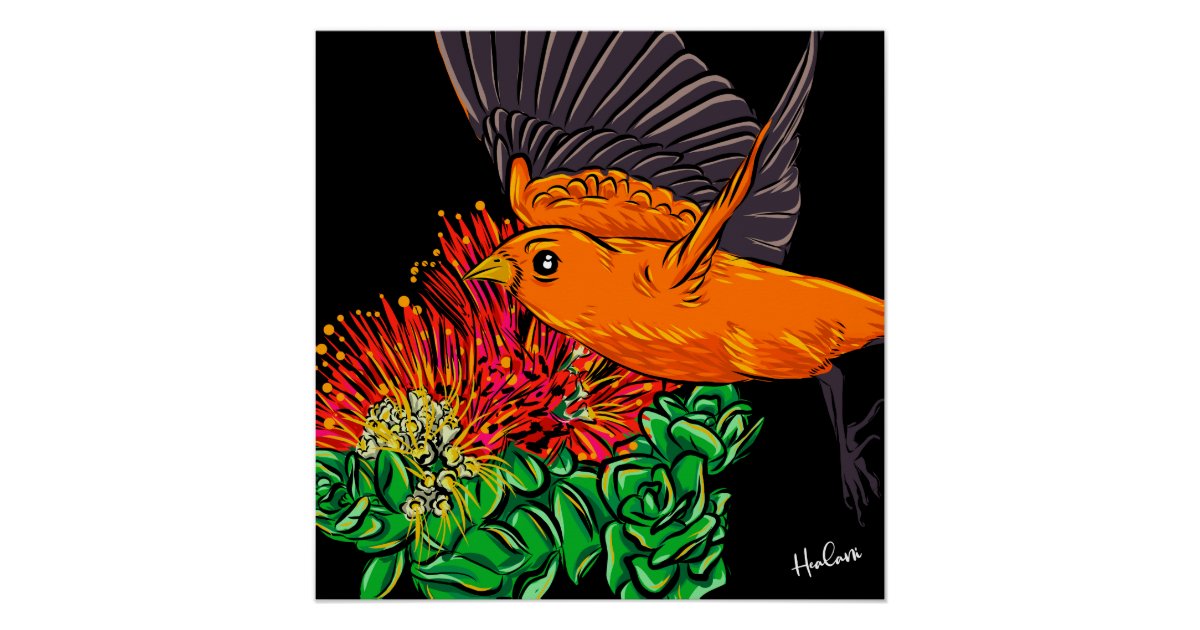 Native hawaiian bird art poster | Zazzle