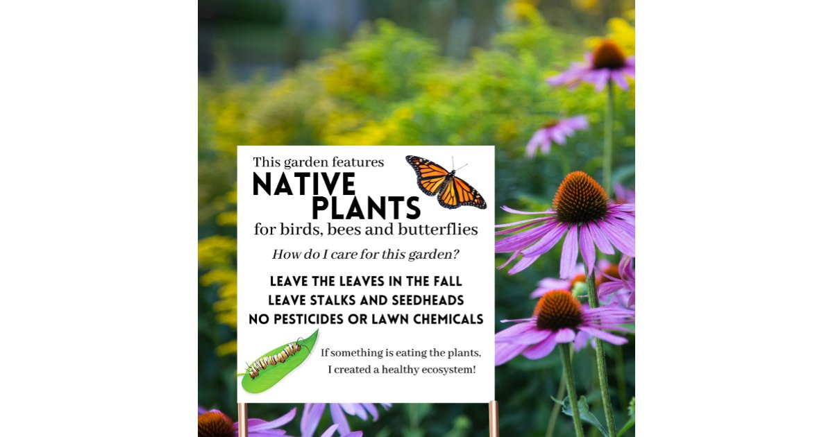 Native Plant Garden Sign -Birds/bees/butterflies | Zazzle