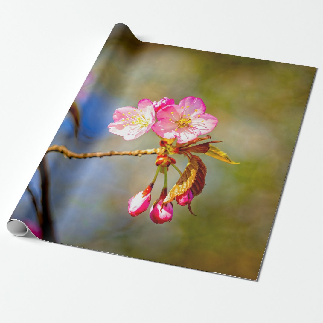 Natural Composition Of Sakura Flowers Wrapping Paper | Zazzle