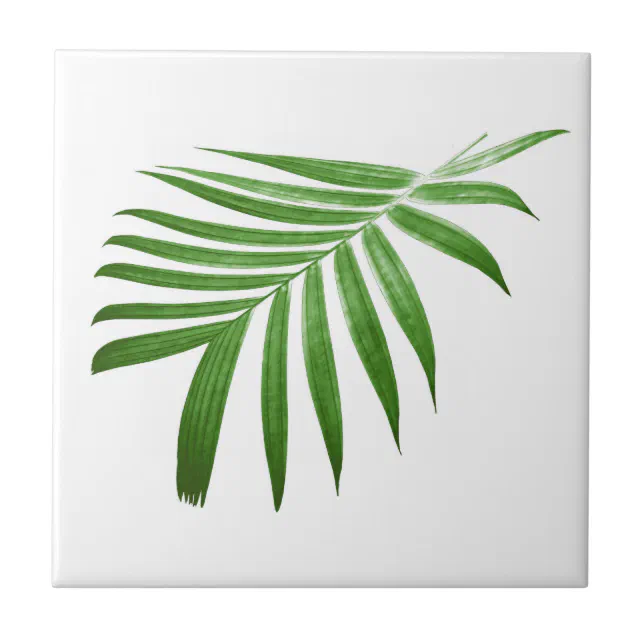 Natural Modern Palm Leaf Ceramic Tile | Zazzle