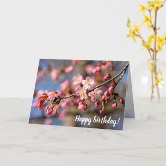 Natural Painting Of Sakura Flowers On A Windy Day Card | Zazzle