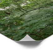 Natural Swamp Poster | Zazzle