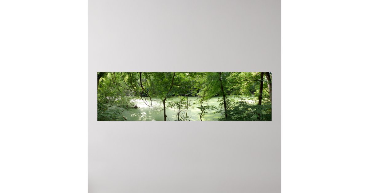 Natural Swamp Poster | Zazzle